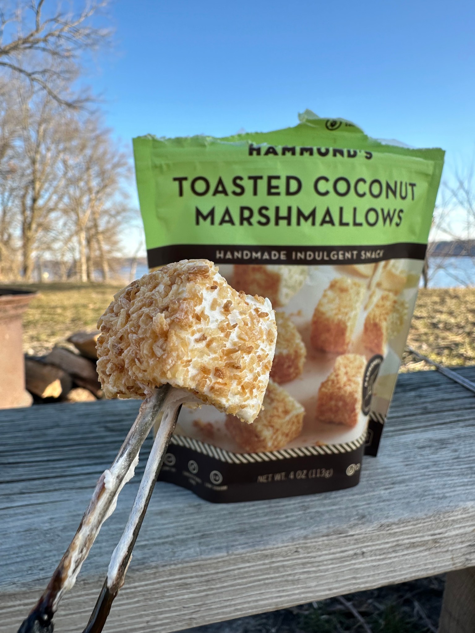 The Ultimate S’more: Pairing Girl Scout Cookies & Gourmet Marshmallows ...