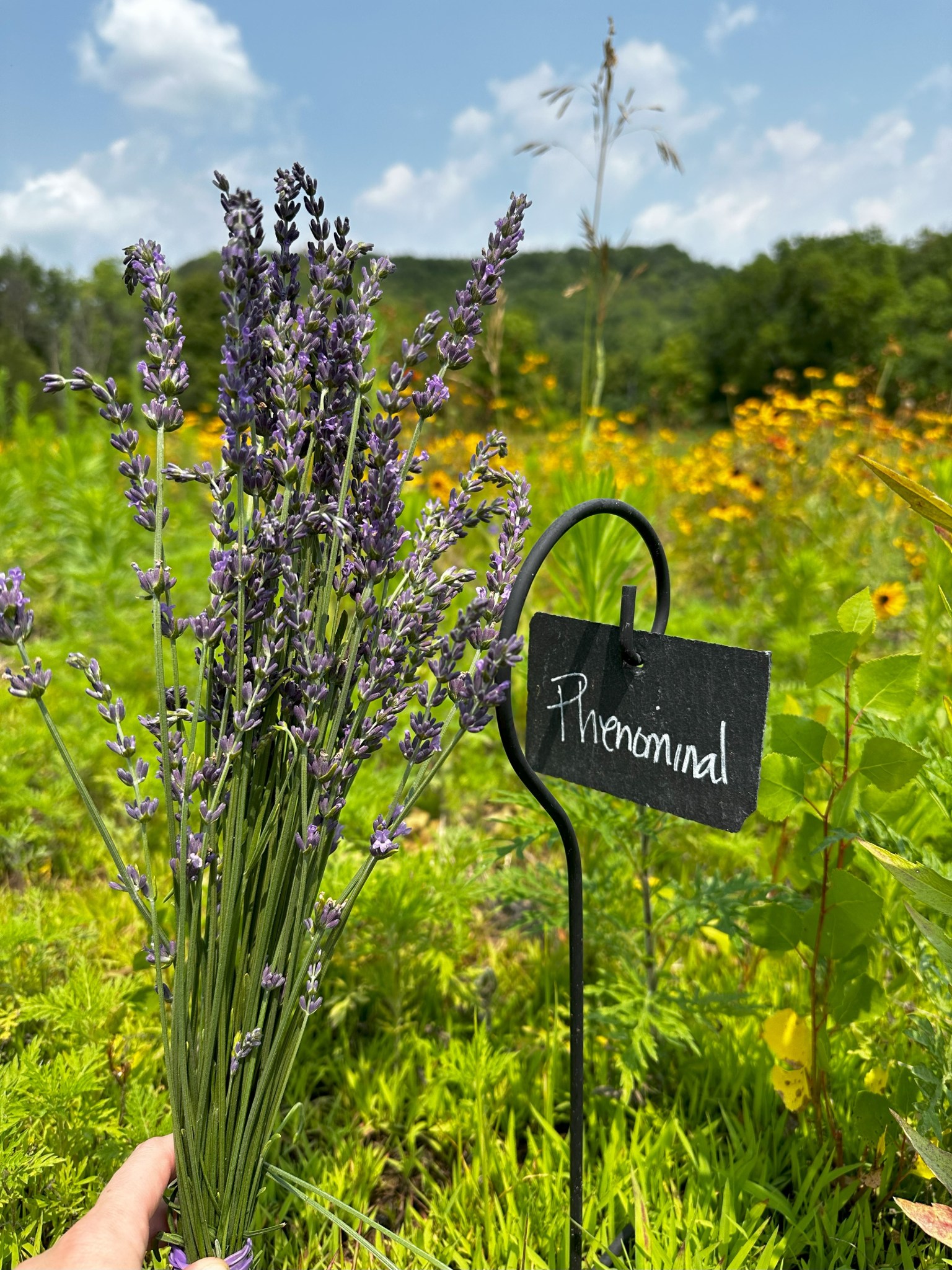 Pick-Your-Own in Pepin & Pierce Counties – Explore with Emily