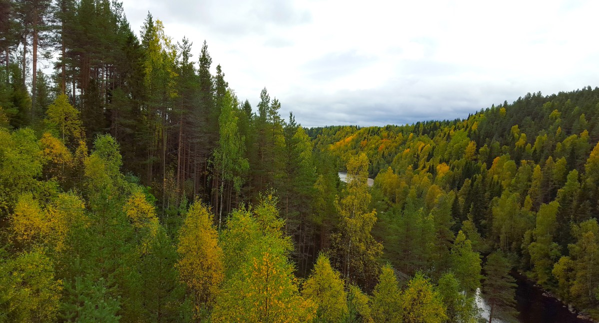 The Nordic Connection to the Nature – Explore with Emily
