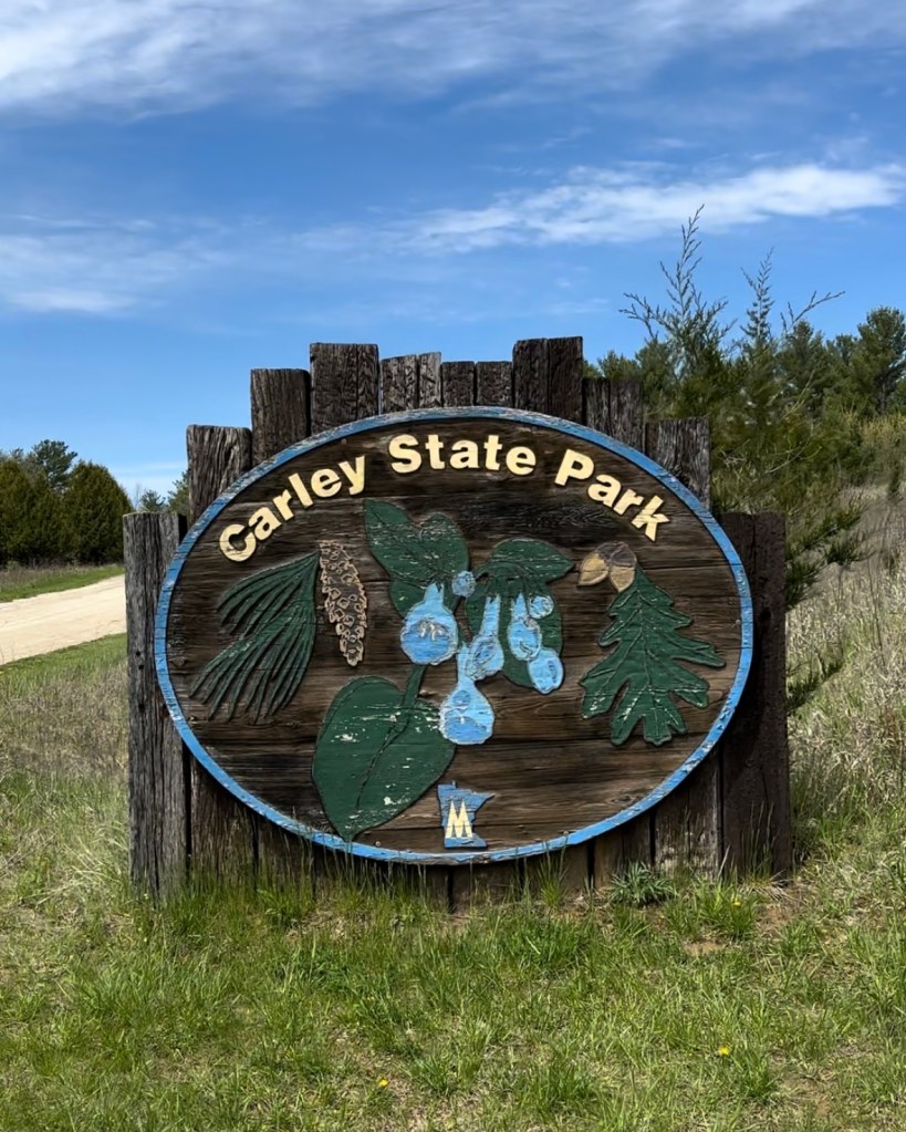 Walk Among the Wildflowers at Carley State Park – Explore with Emily